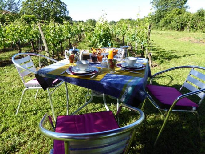 La Vigneraie De Laura - Castillon-la-Bataille