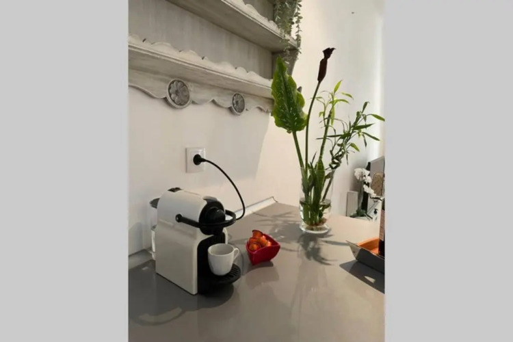 Janelas Verdes 37 - Faro