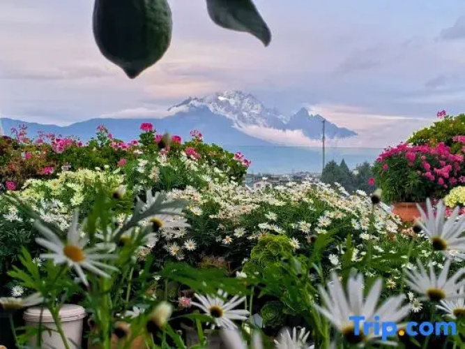 Lijiang The Rooftop Bistro&bar• English Corner Snow Mountain View Hostel - Lijiang
