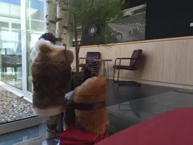 Logis Des Sittelles - Sarthe