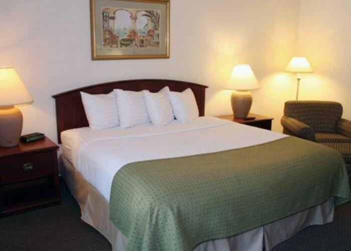 Quality Inn & Suites Tarpon Springs South - Palm Harbor, FL