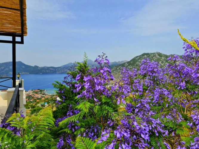 Loca Hi̇ll - Selimiye