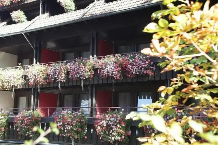 Hotel Schwarzwaldhof - Gernsbach