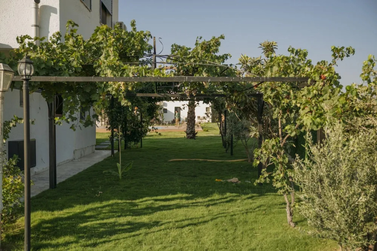 Ali Baba Ciftligi Alacati - Alaçatı