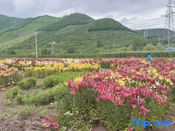 Homeinn Selected Hotel (Minzhong Street Baishan) - Baishan