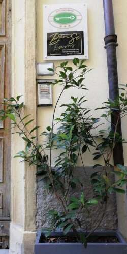 Bensorooms - Cinque Terre