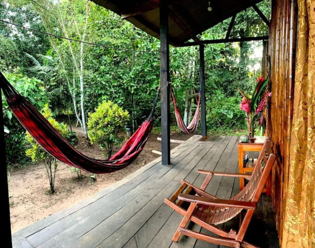 Amazonian Oropendola Tambopata - Puerto Maldonado