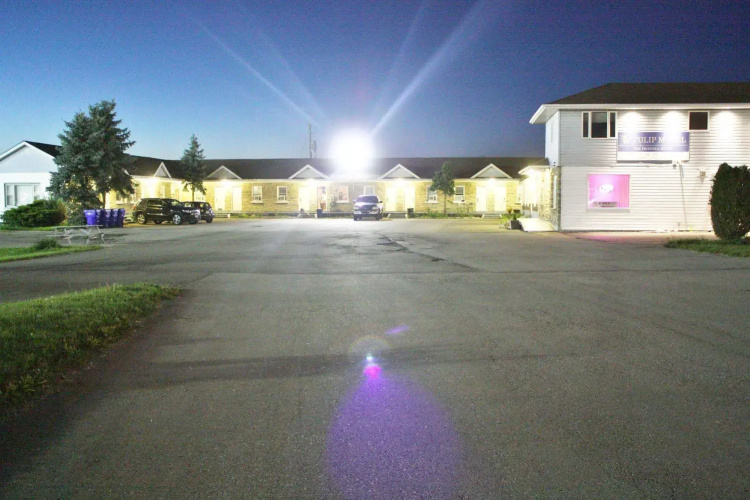 Tulip Motel - Woodstock