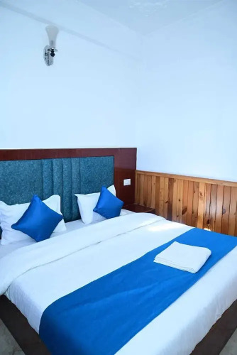 The Cedar Bliss - Shimla