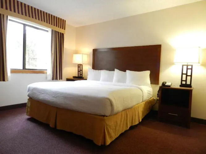 Ashmore Inn And Suites Lubbock - Lubbock