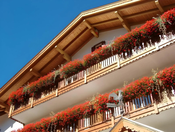 Cristallo - Vigo di Fassa