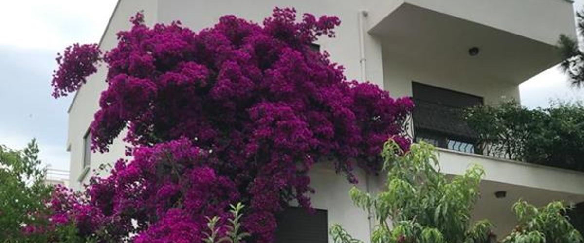 Tatil Evi - Karaburun