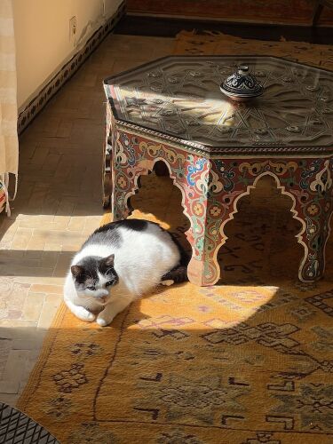 Riad Oasis D'asilah - Asilah