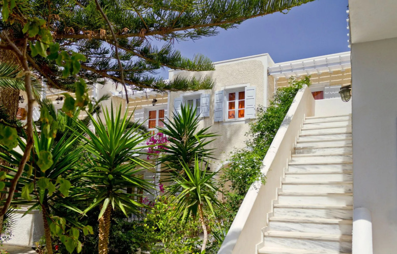 Dolphins - Santorini