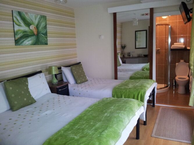 Rose Park House Bed & Breakfast - Londonderry
