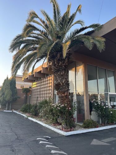 Royal Motel Tracy Llc - Tracy, CA