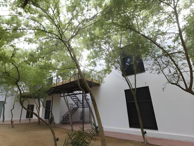 The Woods Villa Resort - Jaipur