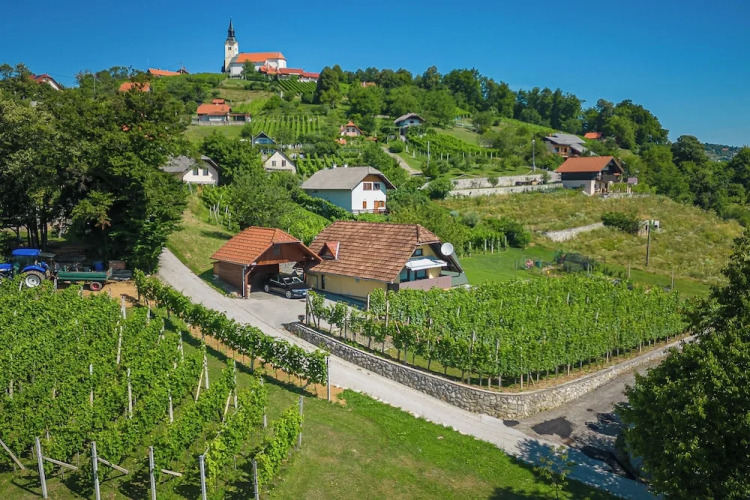 Vineyard Cottage Hočevar With Sauna - Alps