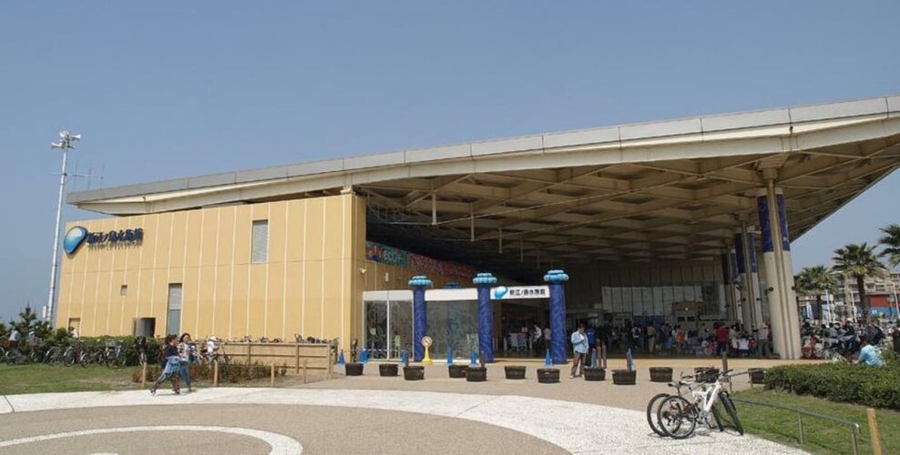 Enoshima Guest House 134 - Enoshima