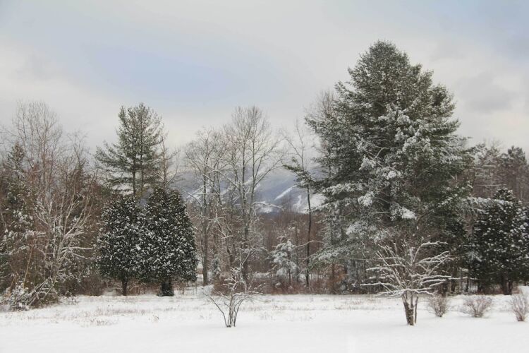 Peaceful & Private Franconia Home By Cannon! - Littleton, NH