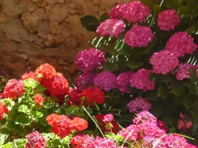 Agroturismo Son Marimon - Santanyí