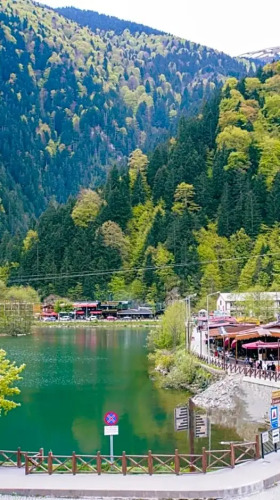 Uzungol Dear Otel - Bayburt