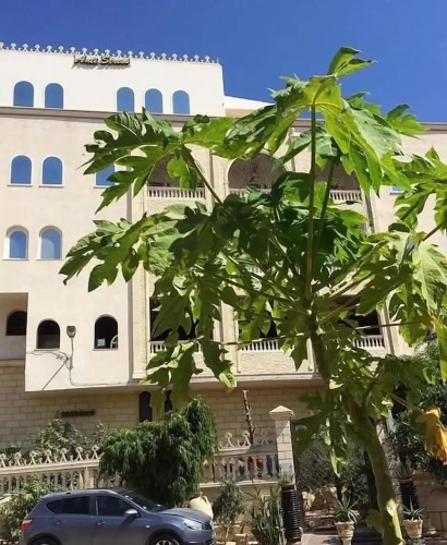 Hammam Antistress - Sousse