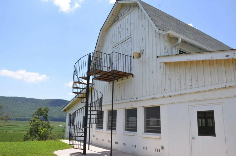 Mountain Cove Farms Resort - Georgia, GA