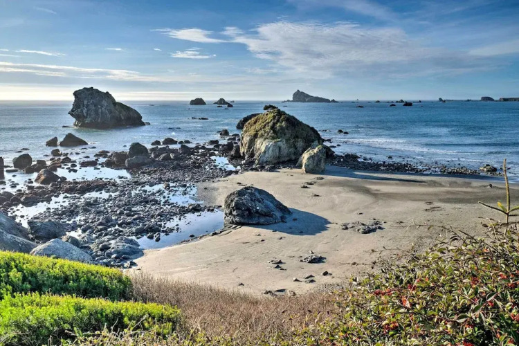 Unique Dog-friendly Log Cabin: Short Walk To Ocean - Crescent City, CA