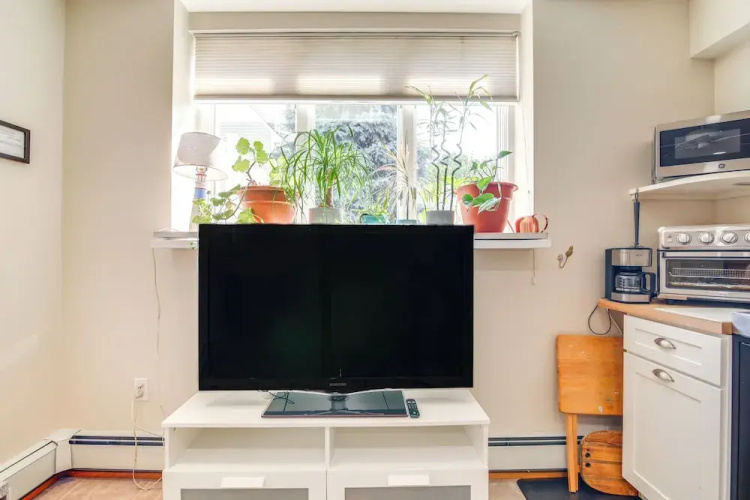 Pet-friendly Garden Studio ~ 25 Mi To Boston! - Wompatuck State Park, Hingham