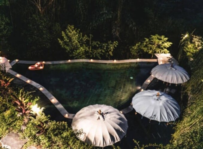 The Jungle Villa - Ubud