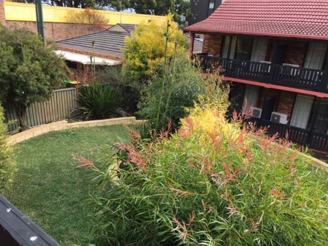 Maclin Lodge Motel - Sydney