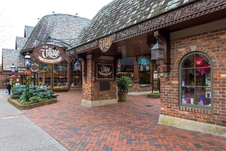 Black Bear Lodge - Cosby, TN