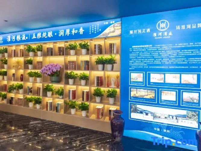 Ziyang Holiday Hotel (Zhengzhou Hanghai Square Subway Station Branch) - Zhengzhou