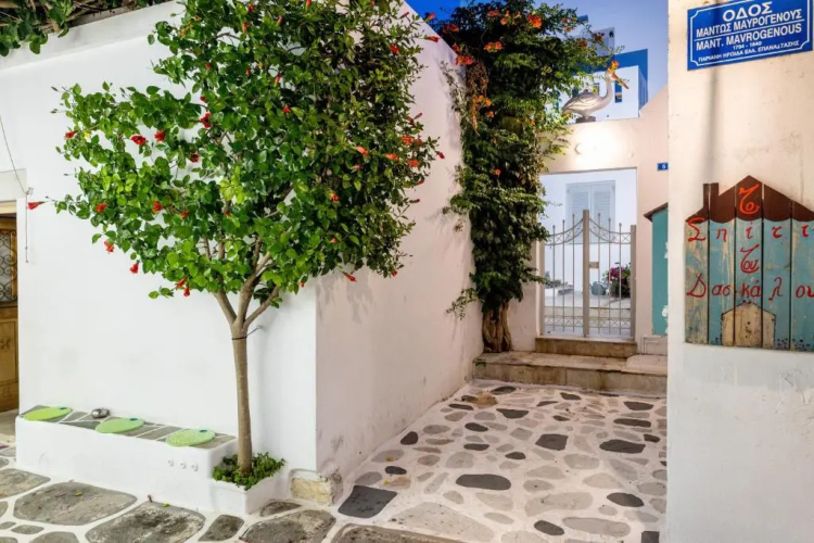Pelican Paros - Paros