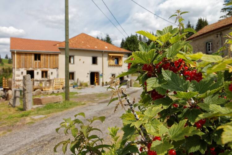 La Ferme De Jean - Saulxures-sur-Moselotte
