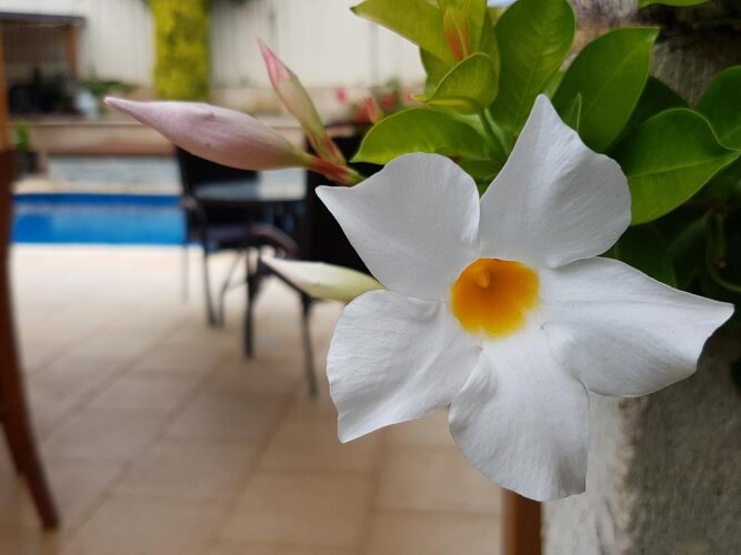 Ocean Reef Homestay - Swan River