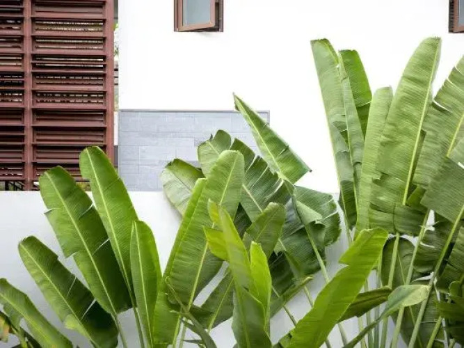 Sanya Mountain And Sea Resort Villa - Sanya