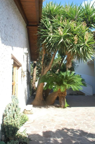 Sa Crannaccia - Cabras