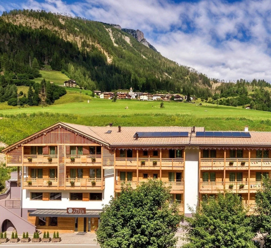 Chalet Aster - Moena