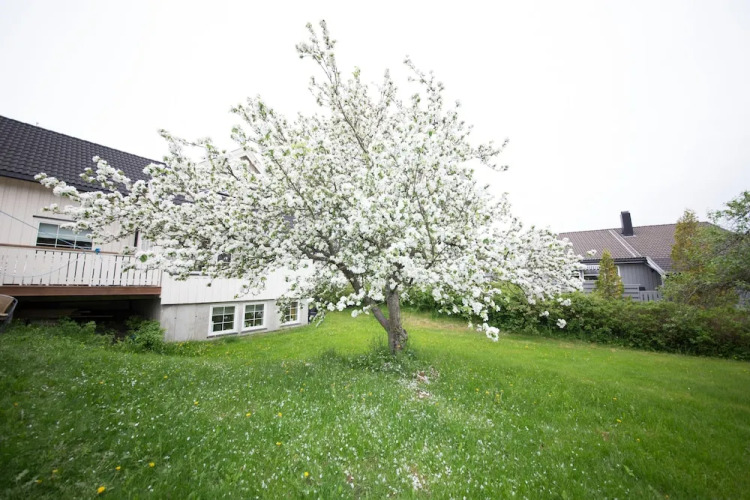 Apartment At Ranheim - Trondheim