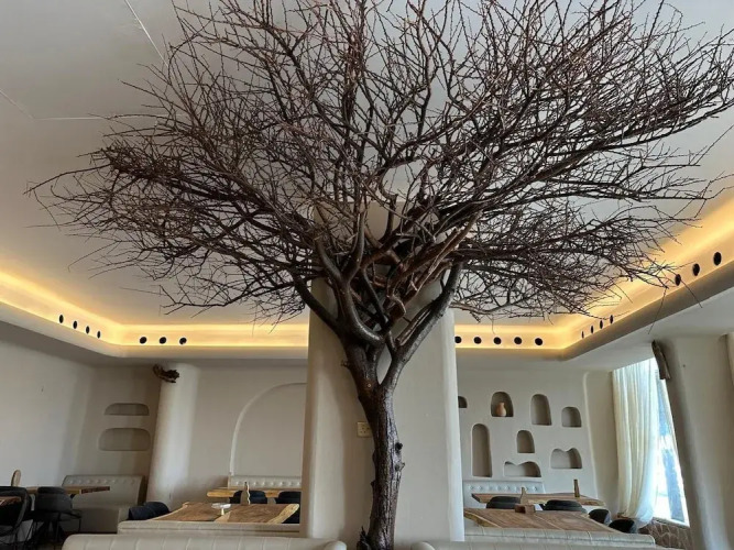 Dibba Sea View Hotel By Ama Pro - Ras el Khaïmah