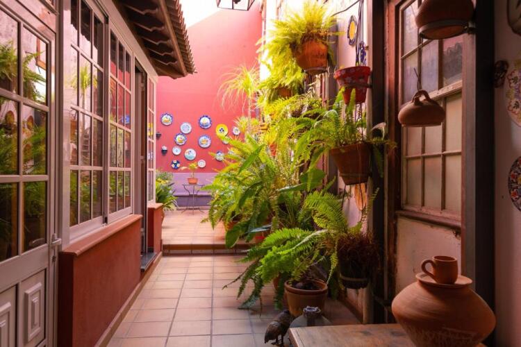 Albergue Casa Jurado - La Palma