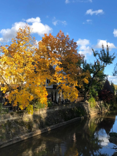Riverside Apartment In Central Herzogenaurach - Herzogenaurach