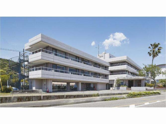 Pal’s Inn Katsuura - 和歌山縣