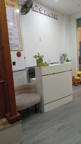 Purple Sun Apartment & Spa Da Nang - Da Nang
