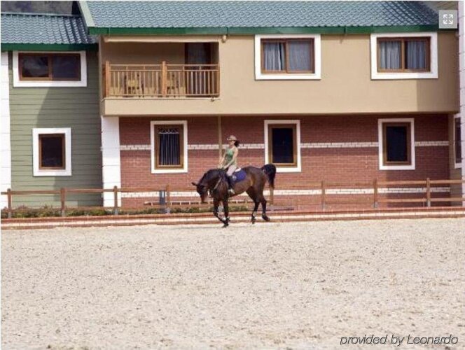 Padok Premium Hotel And Stables - Ataköy