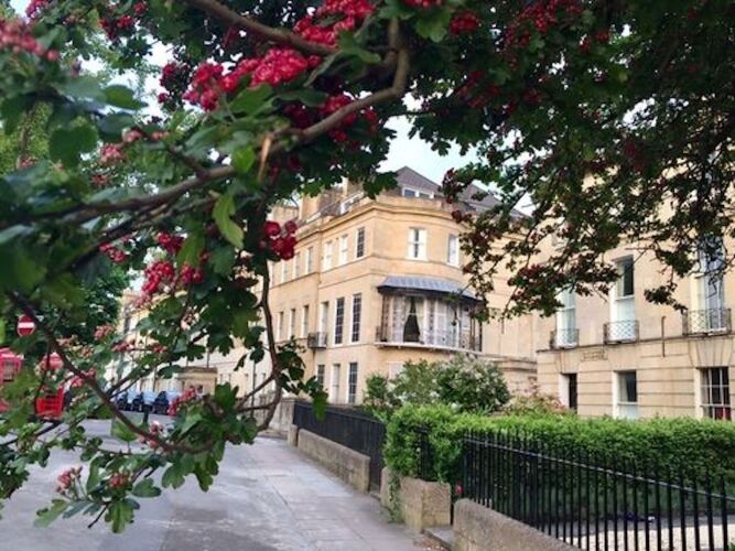 Grosvenor Apartments - Bath