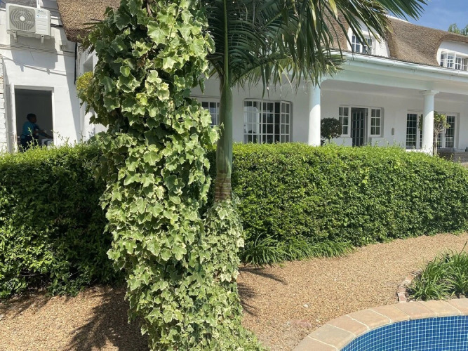 Mirabelle Guesthouse - Franschhoek