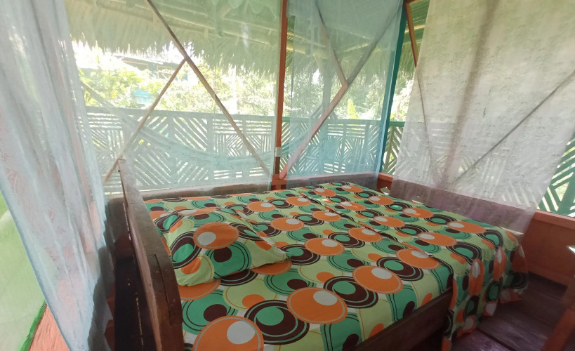 Hostal Búho Amazonas Tours - Hostel - State of Amazonas